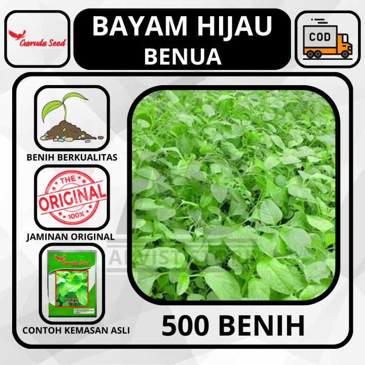 500 Butir - Benih BAYAM BENUA Garuda Seed Bibit Sayuran Tanaman Bayam ...