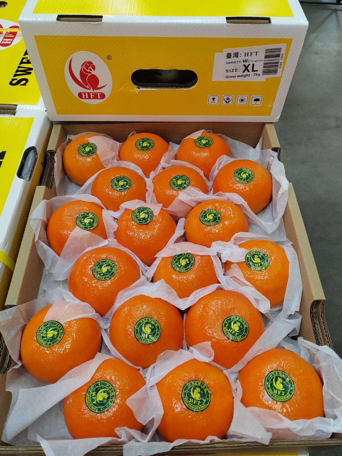 Fruit addicts 🍊 ส้มใต้หวันนกแก้ว ก.เหลือง | Lazada.co.th