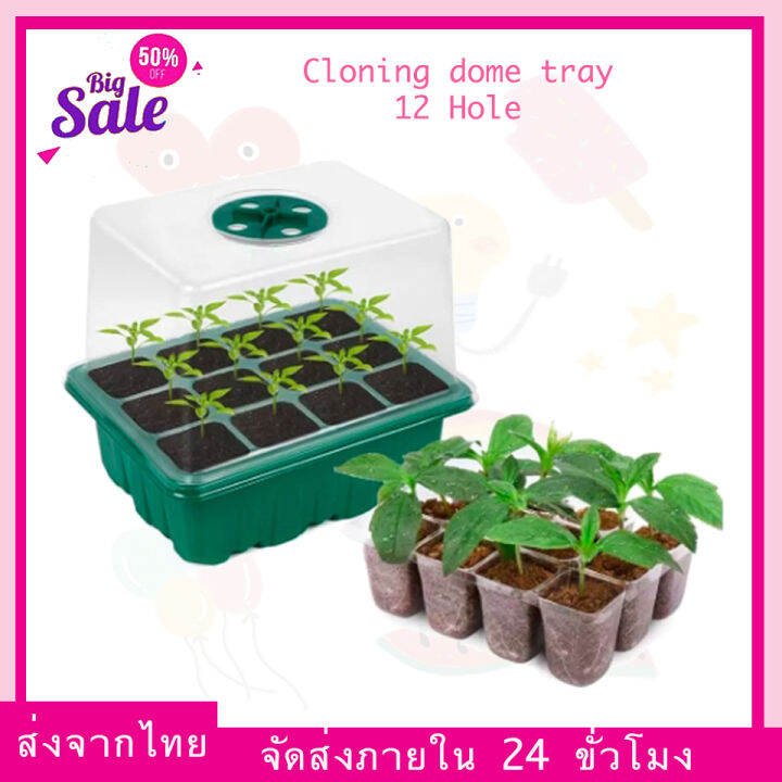 ถาดเพาะ ถาดเพาะชำ ถาดเพาะต้นกล้า ถาดเพาะต้นอ่อน ถาดเพาะเมล็ด ถาด ...