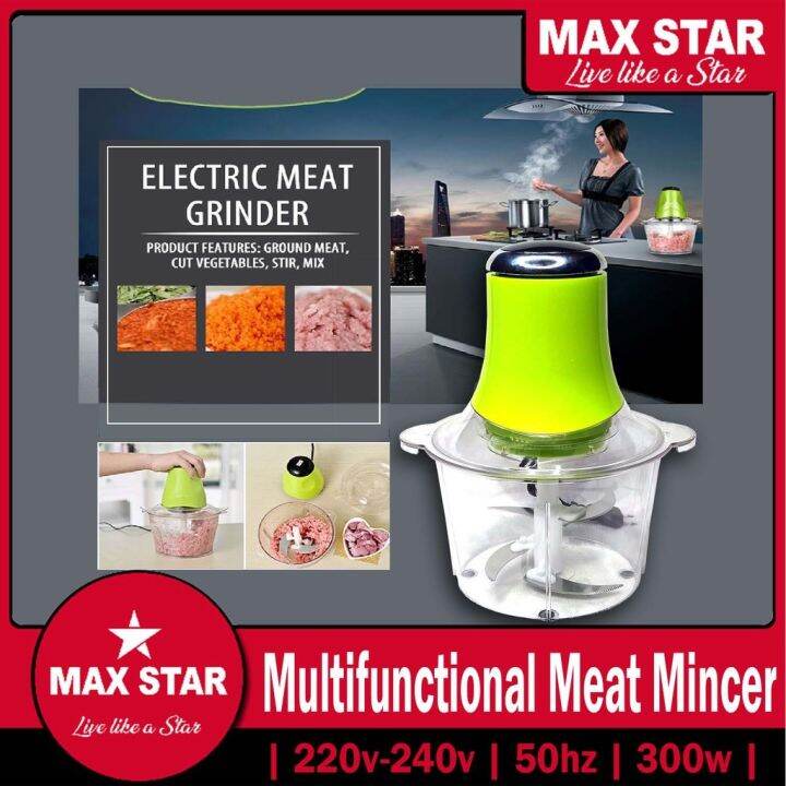 Max Star Multi-functional Electric Meat Mincer Grinder | Lazada PH