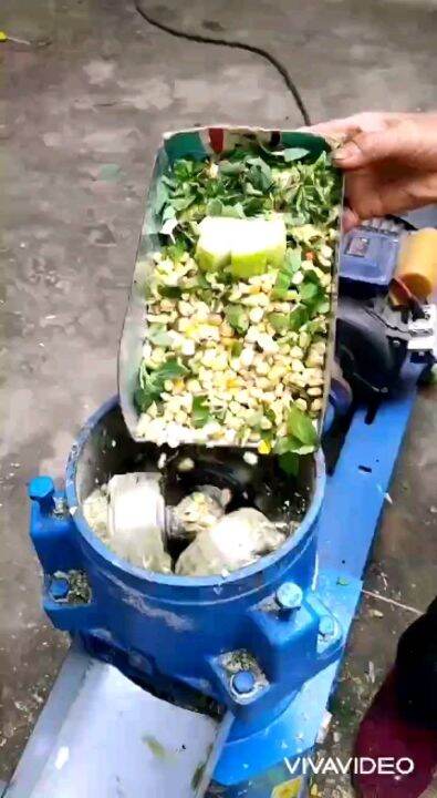 Pelletizer 160 with (3 rollers) | Lazada PH