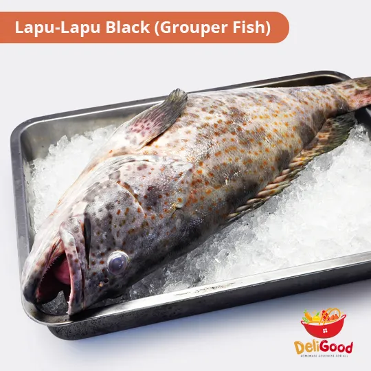 DeliGood Black Lapu Lapu Fish Large 1pc 1kl | Lazada PH
