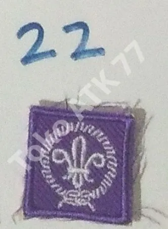 Logo Tanda Pandu Dunia READY STOCK | Lazada Indonesia