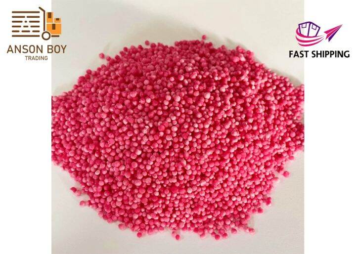 [READY STOCK] BIJI SAGU MERAH&HIJAU HALUS 250gram&500gram | Lazada