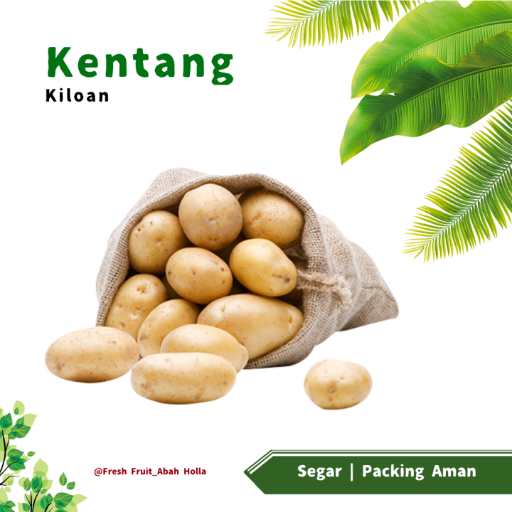 KENTANG 1 KG | STOK BARU | MURAH | Lazada Indonesia