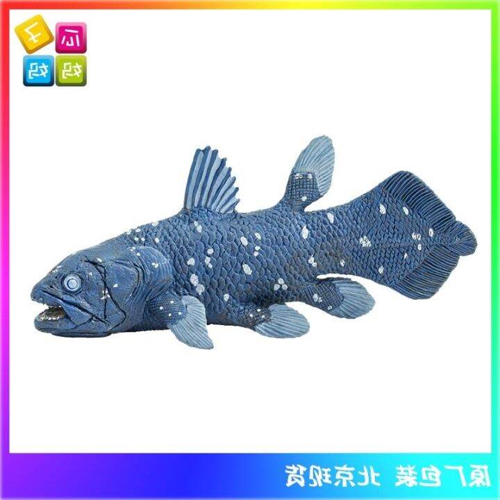 🦍 Genuine and exquisite model Safari coelacanth ancient animal ...