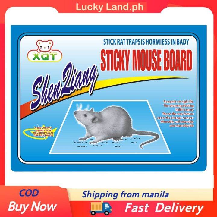 Large Mouse rat Sticky Mice Rodent Glue Board Bait Trap | Lazada PH