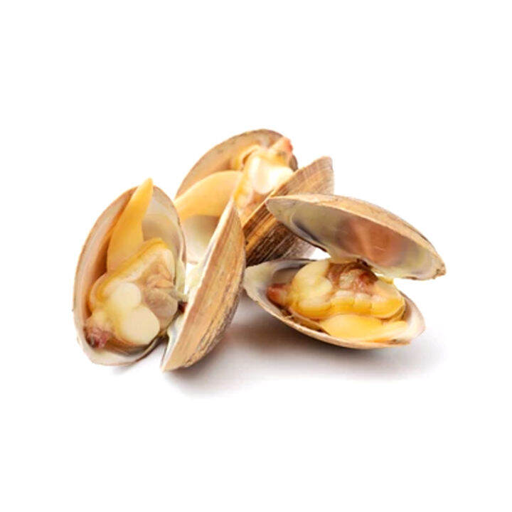 Zagana Fresh Seafood Market Halaan 500g | Lazada PH