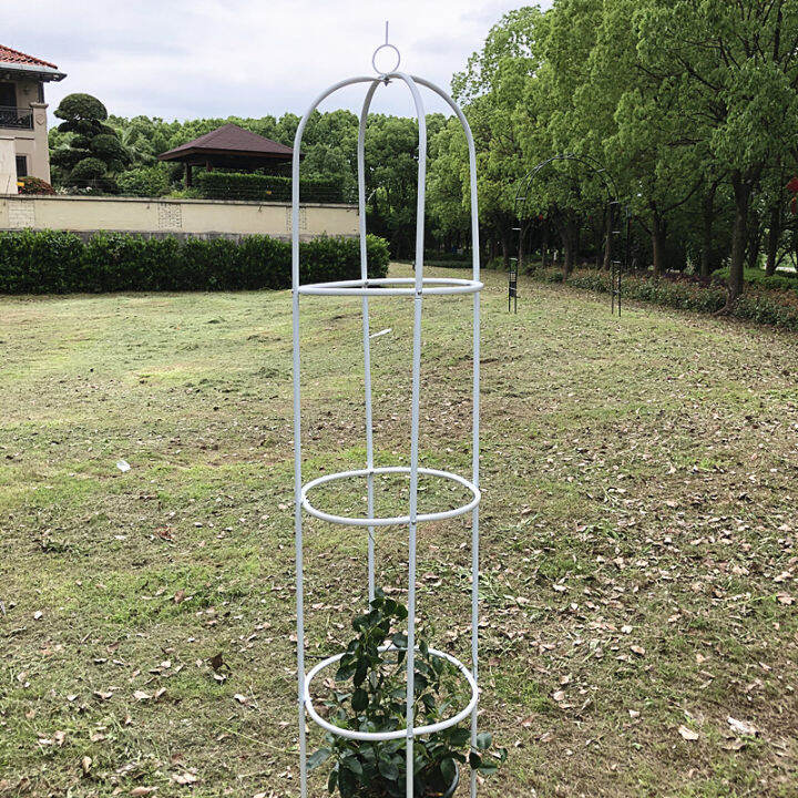 Wrought iron rose, Chinese rose, column frame, clematis, climbing vine ...