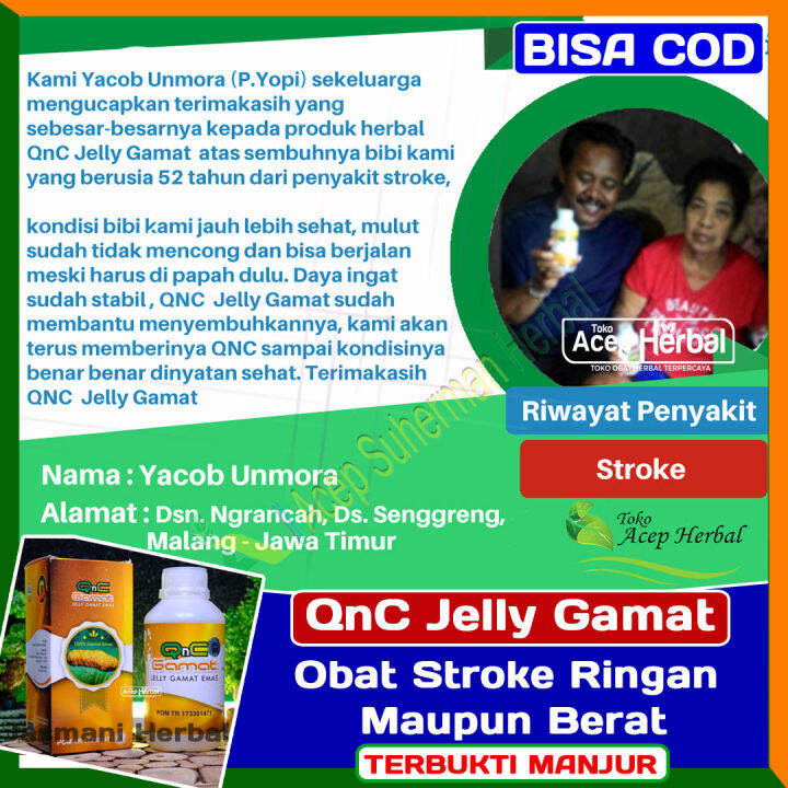 Obat Stroke Ringan Maupun Berat Herbal Qnc Jelly Gamat Obat Stroke Iskemik Stroke Hemoragic