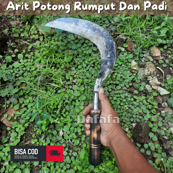 PALING HEMAT Arit Rumput Super Tajam - Sabit Ringan Potong Rumput Dan ...