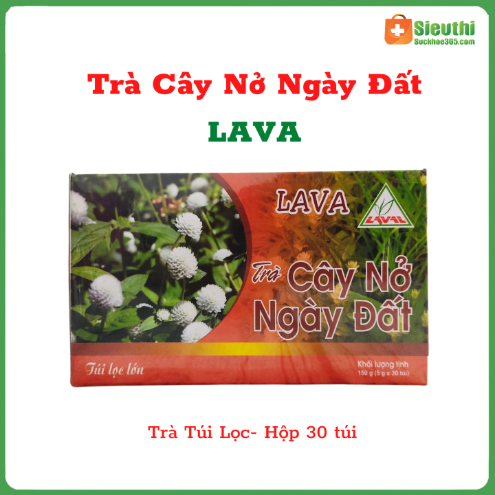 [HCM]TRÀ CÂY NỞ NGÀY ĐẤT LAVA- HỖ TRỢ NGƯỜI BỆNH GOUT Siêu Thị Sức Khoẻ ...