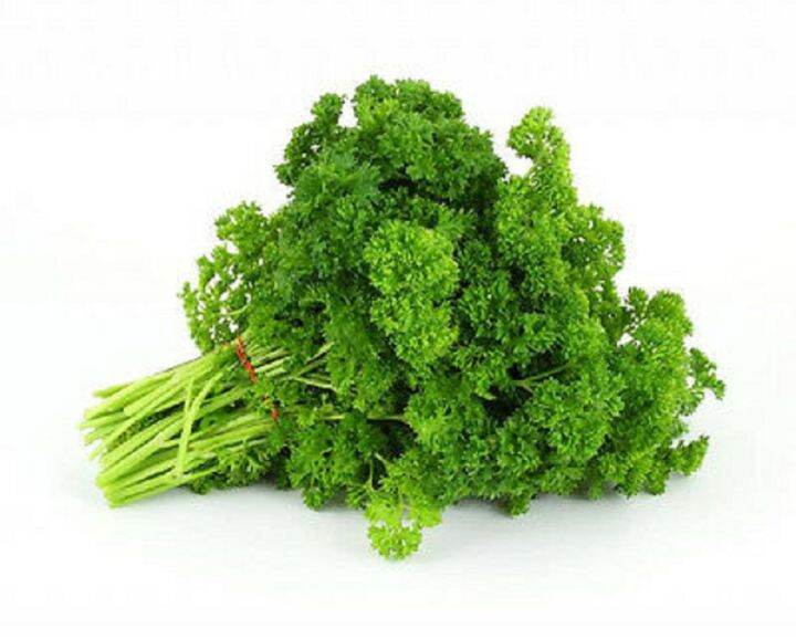 PARSLEY QUALITY SEED`S "DECORA" | Lazada PH