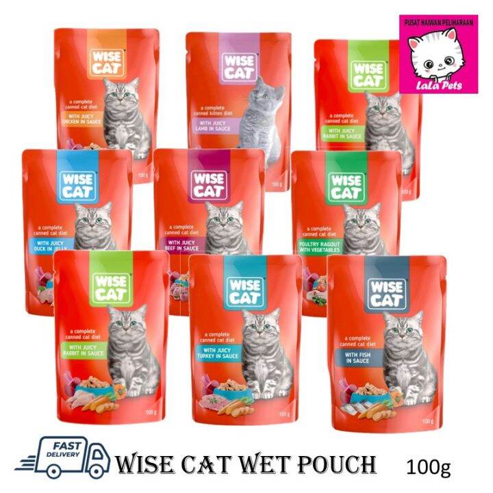 WISE CAT WET POUCH 100g | Lazada