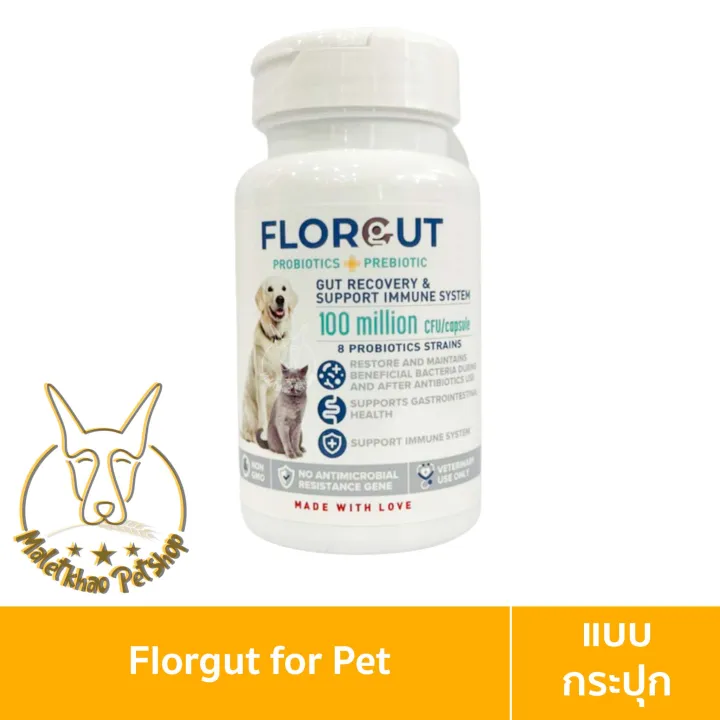[MALETKHAO] Florgut (ฟอร์กัท) กระปุกละ 30 เม็ด พรีไบโอติก &โพรไบโอติก ...