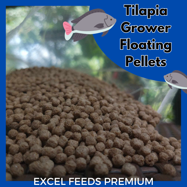 Excel Feeds Premium Tilapia Grower Floating Pellets 750g | Lazada PH
