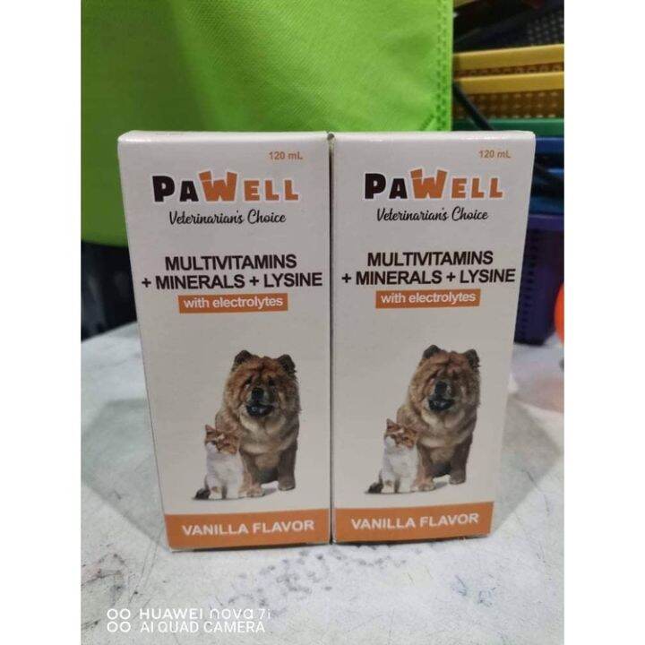Pawell Multivitamins Minerals Lysine with Electrolytes (Vanilla Flavor ...