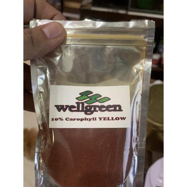 Carophyll yellow 5grams | Lazada PH