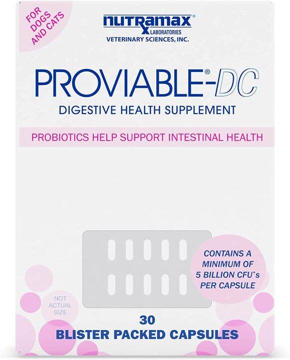 Nutramax Laboratories Proviable-DC Digestive Health Supplement For Dogs And Cats 30 Capsules ...