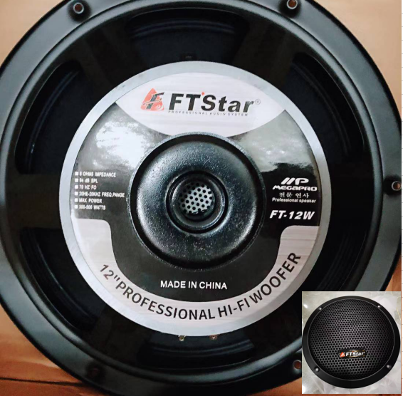 Megapro/FT Star FT-12W Subwoofer 12“ Inch 500W Speaker Professional HI ...