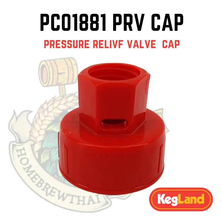 PRV Cap - Gas Pressure Relief Valve Cap | Lazada.co.th