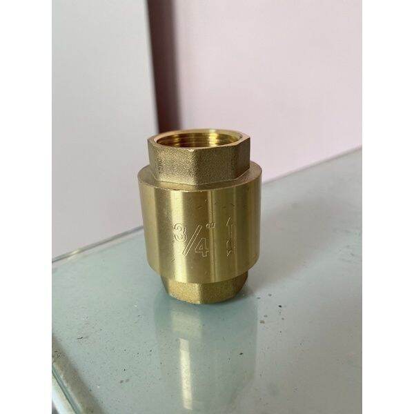 Lupe van 1 chiều lò xo thau phi 27 | Lazada.vn