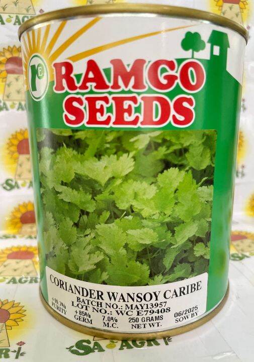 Coriander Wansoy Caribe Seeds (250 grams) by Ramgo | Lazada PH