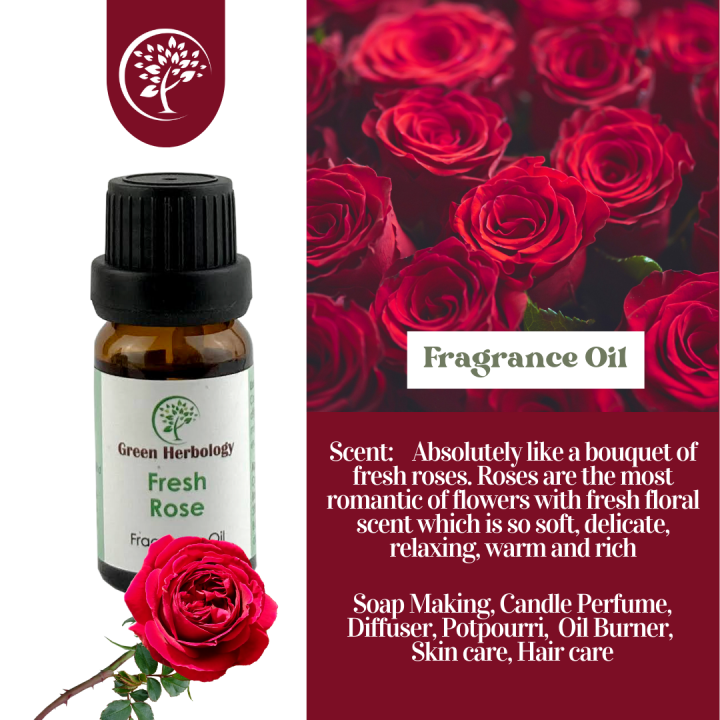 Fresh Rose Fragrance Oil 10ML | Lazada