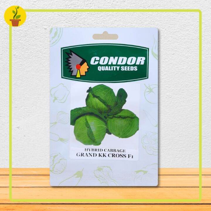 Cabbage Seeds (Grand KK Cross F1 Lowland Variety) 1 Gram Packet ...