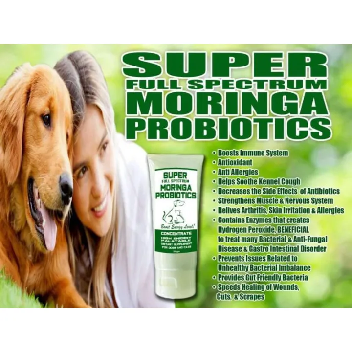 super moringa probiotics for dogs and cats | Lazada PH