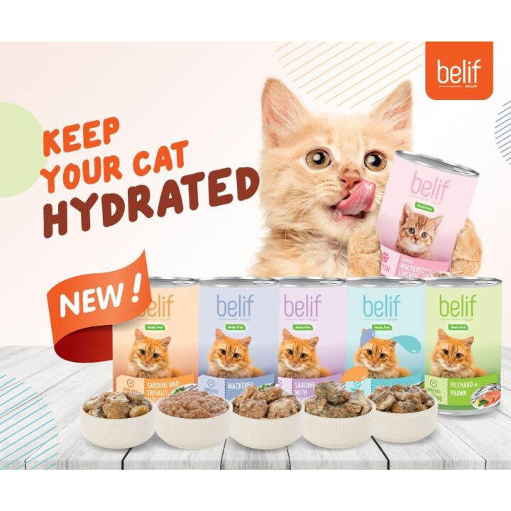 BELIF CAT CAN WET FOOD | Lazada