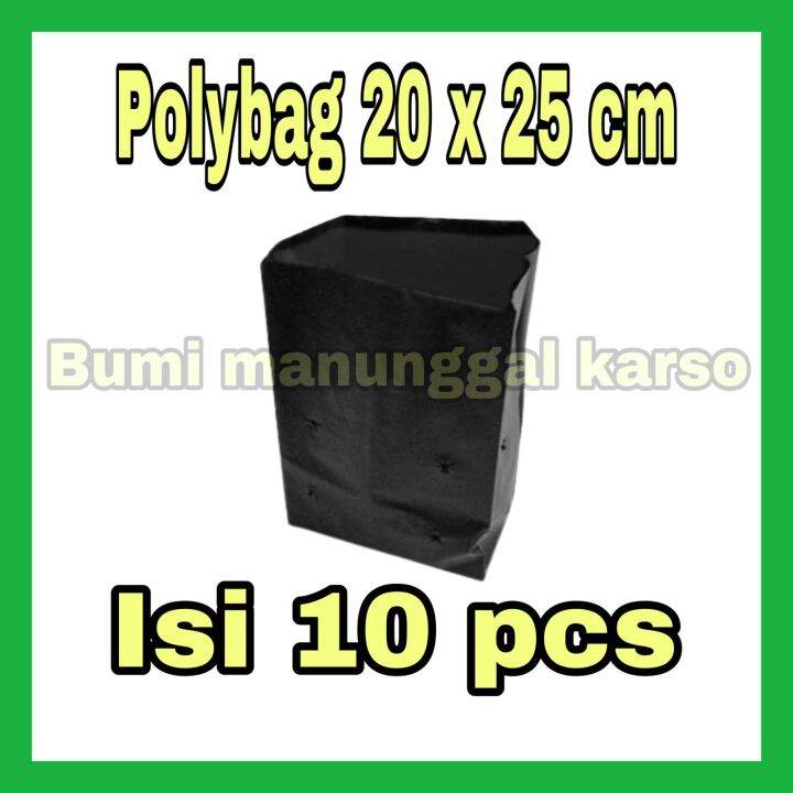 Polybag hitam tanaman bibit 20 cm x 25 cm ISI 10 PCS | Lazada Indonesia