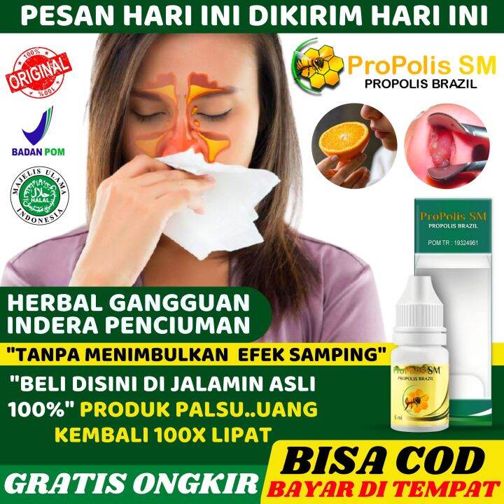 Obat untuk mengembalikan indra penciuman - Ilang indra penciuman ...