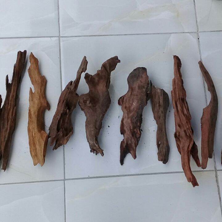 Kayu Rentek ukuran M Kayu Tua Driftwood Bogwood utk Hiasan Aquarium ...