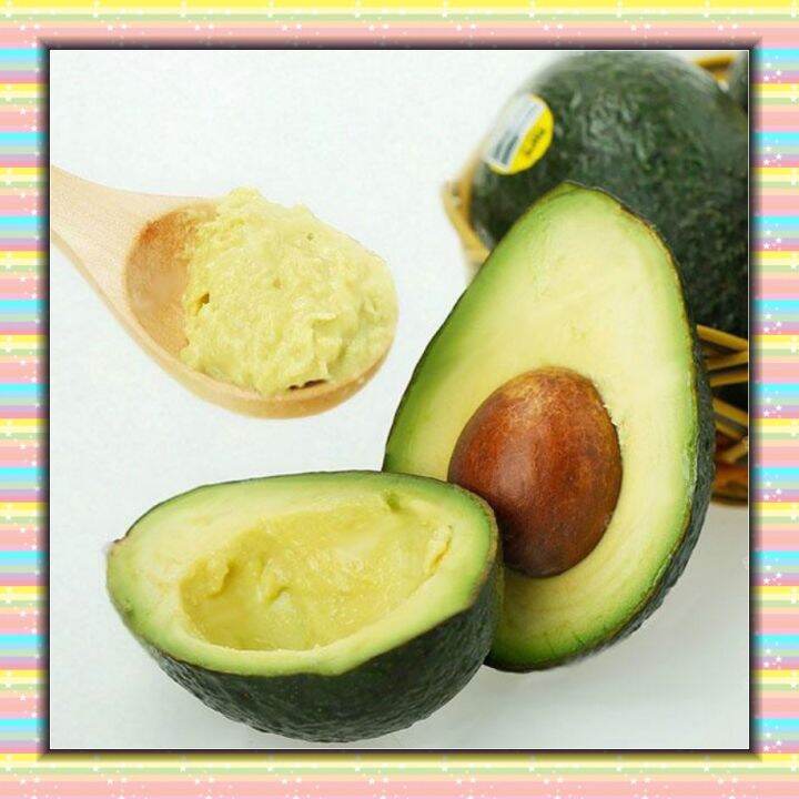 50 Avocado Seeds Persea Americana Mill Pear Seed DIY Healthy Fruit ...