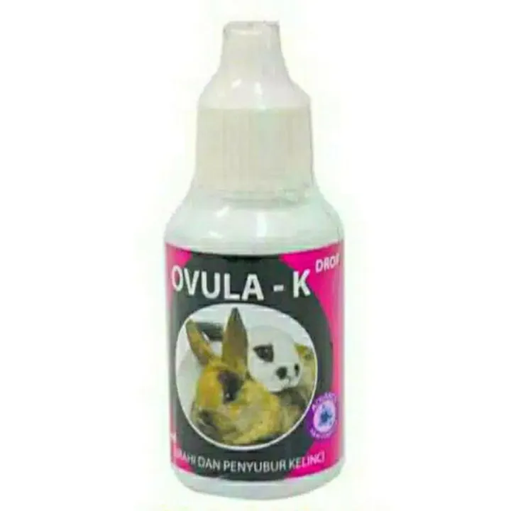 OVULA K OBAT BIRAHI DAN PENYUBUR KELINCI 30ML | Lazada Indonesia