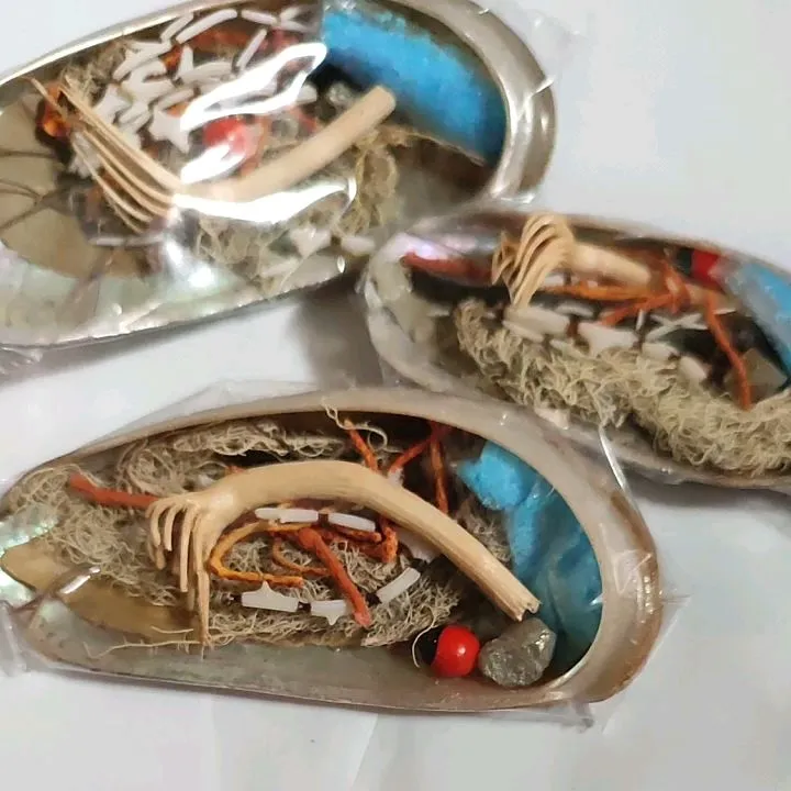 Wishing shell Pampaswerte at Panguntra anti usog at bati | Lazada PH