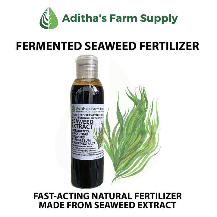 AFS Fermented Seaweed Fertilizer (Fast-Acting Natural Fertilizer Made ...