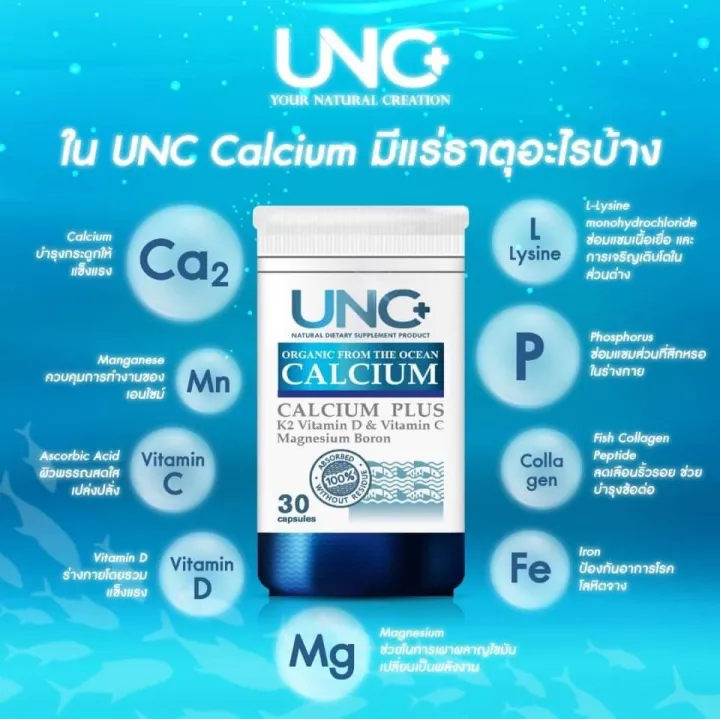 UNC Calcium Plus 3 + UNC Projoin 3 ฟรีนูต้าซี1ยูเอ็นซีกิ๊วฟ์1 | Lazada.co.th