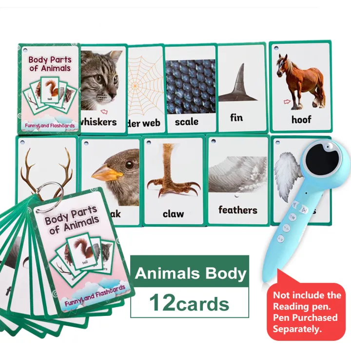 Animals Body Parts Cognitive English Flash Card For Kids Toddlers ...