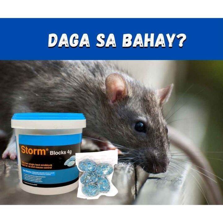 1 pack ℡Storm Wax Bait Pang Daga/ Rodenticide/ Rat Poison | Lazada PH