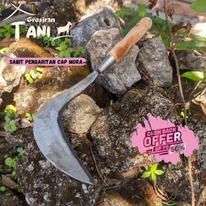 Sabit Rumput Asli Super Tajam Kualitas A1 Cap Mora - Arit Khas Wonosobo ...