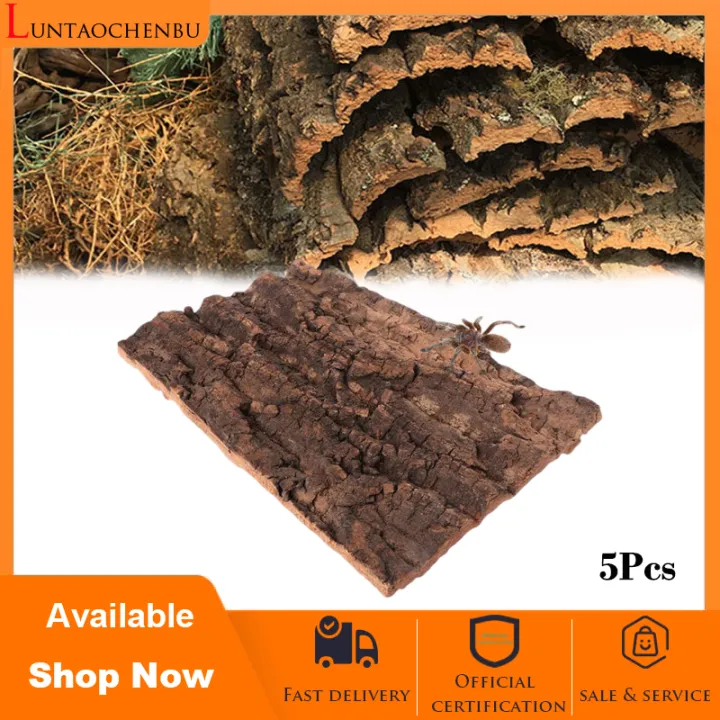 15cm*20cm Reptile habitat bark decoration Champagne Cork Bark Reptile ...