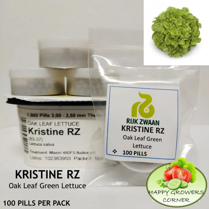 Kristine RZ Oak Leaf Green Lettuce by RIJK ZWAAN (100 pills /Repacked ...