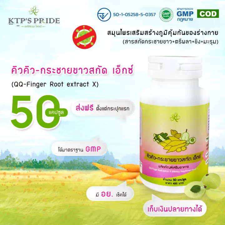 กระชายขาวสกัดเข้มข้น คิวคิว-กระชายขาวสกัด เอ็กซ์ (QQ- Finger Root extract) เกรด Premium กระชาย ...