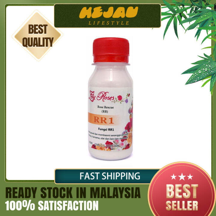 【24H SHIP OUT】Racun Rose RR1 Zety Roses (60ml) | Lazada