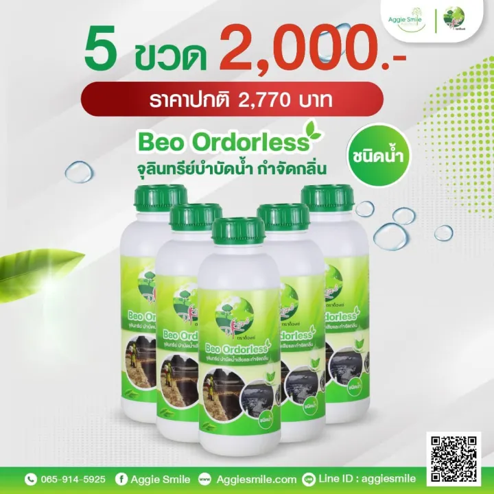 Beo Ordorless จุลินทรีย์บำบัดน้ำ-กำจัดกลิ่น (5 ขวด) | Lazada.co.th