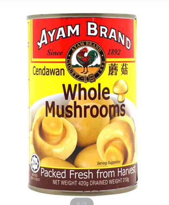 Ayam Brand Whole Mushroom 420g / Ayam Brand 整颗蘑菇 420g | Lazada