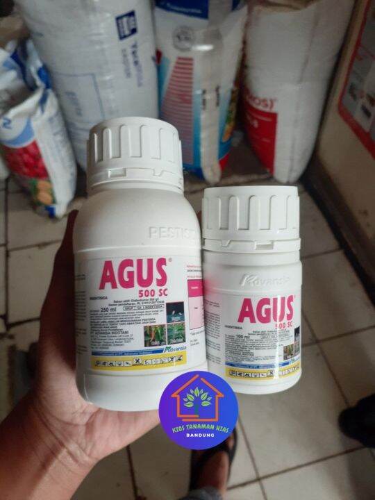 Insektisida Agus 500sc 250ml / 100 ml Original | Lazada Indonesia