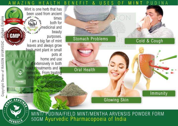 MINT/ PUDINA/FIELD MINT/MENTHA ARVENSIS POWDER FORM 50GM Ayurvedic ...